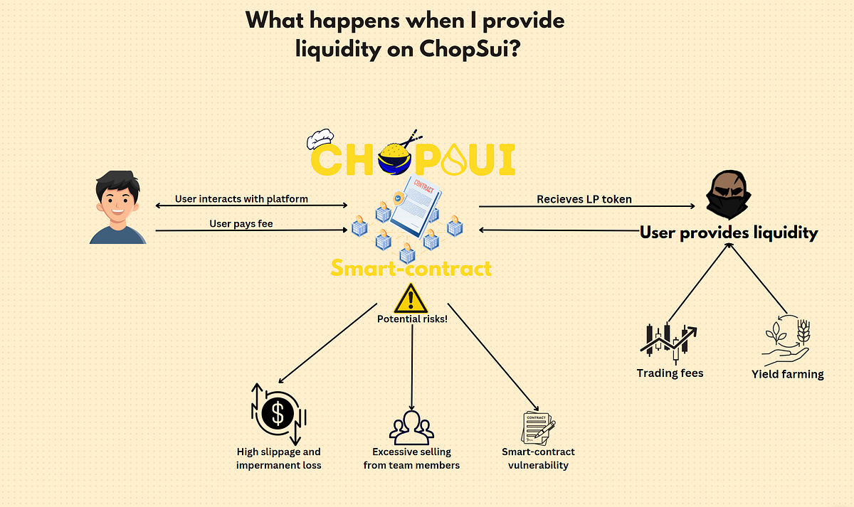 Empowering Transparent and Fair DeFi | by ChopSui | Medium