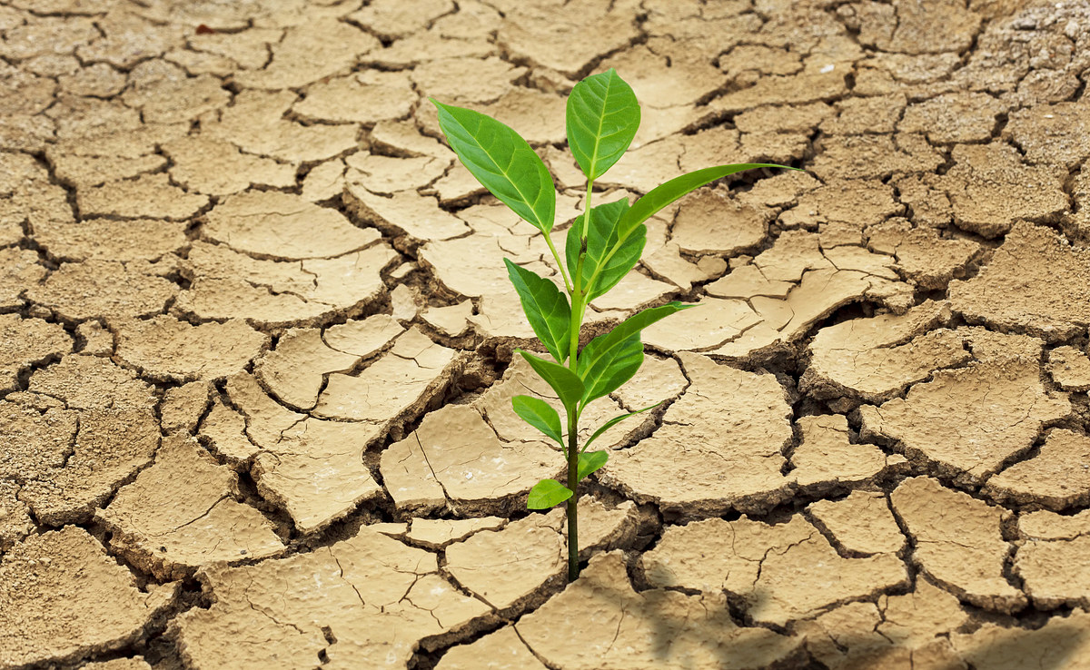 This parched land: The weaponisation of water in Gaza | by The ...