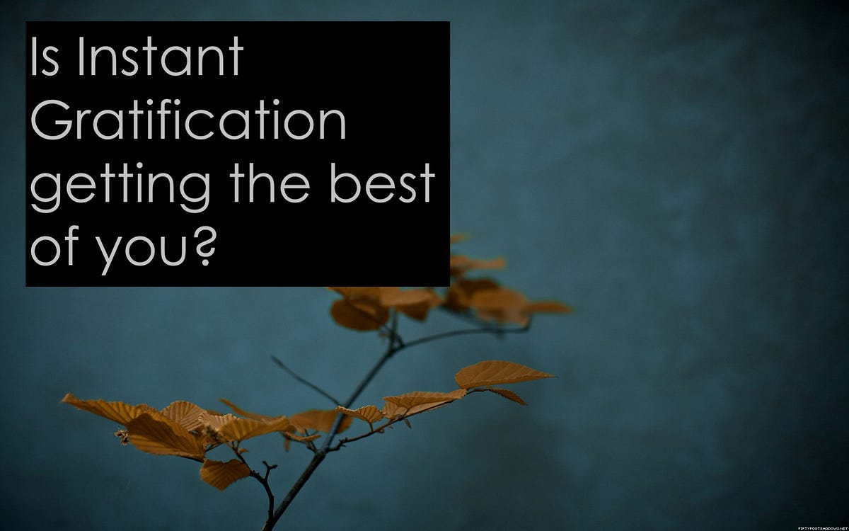 Delay instant gratification. I am sure many are aware of what… | by ...