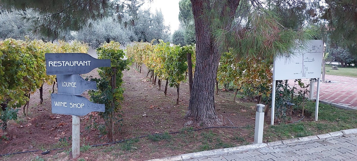An İsabey Wine Tasting Story (Part 2) | by Firatocal | Mr. Plan ...