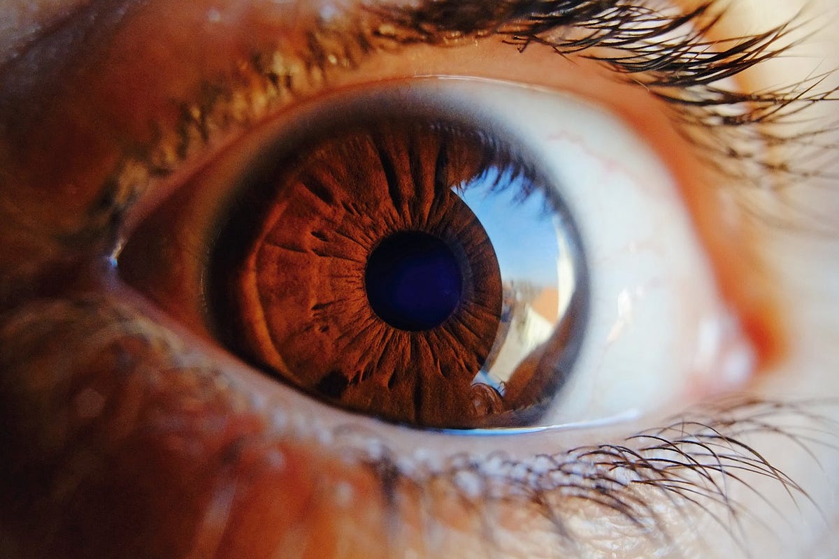 Traumatic Glaucoma and the Risk of Permanent Vision Loss | by Rohit ...