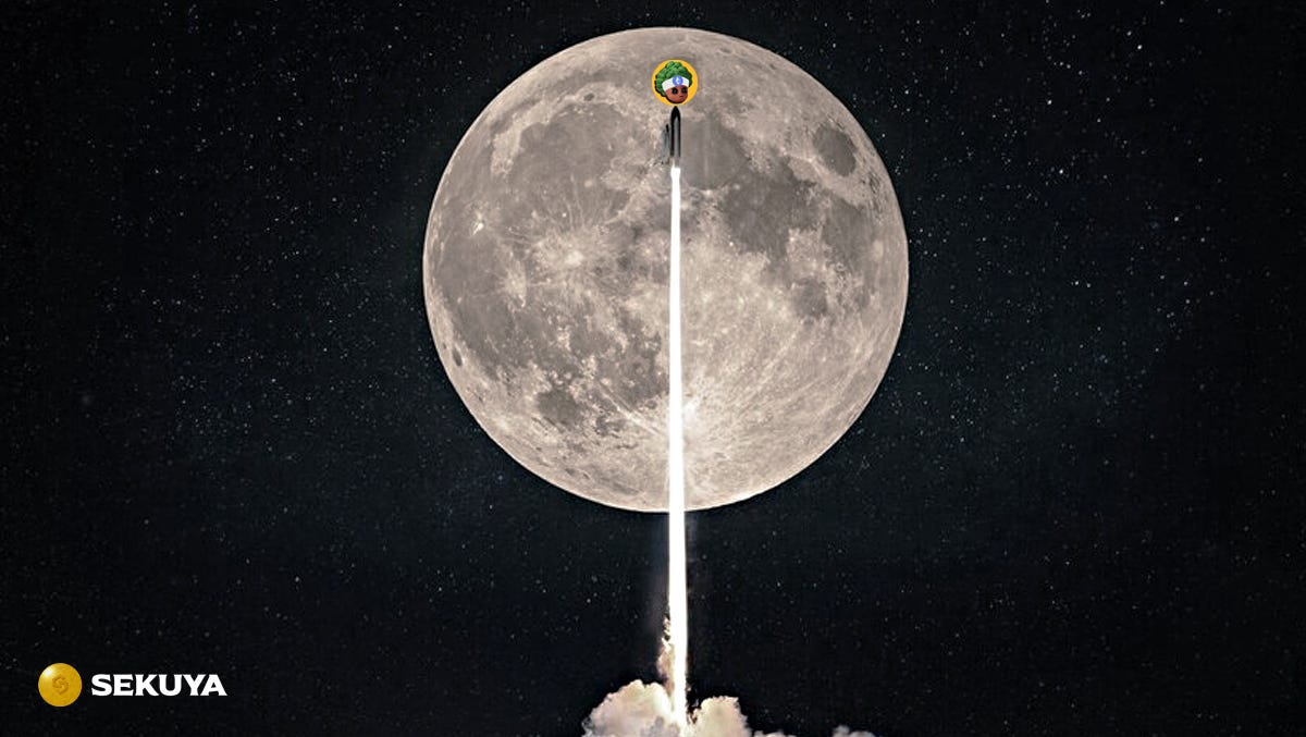 SKUY’s Quantum Leap: Moon Mission to Ethereum Unleashed! | by Sekuya ...