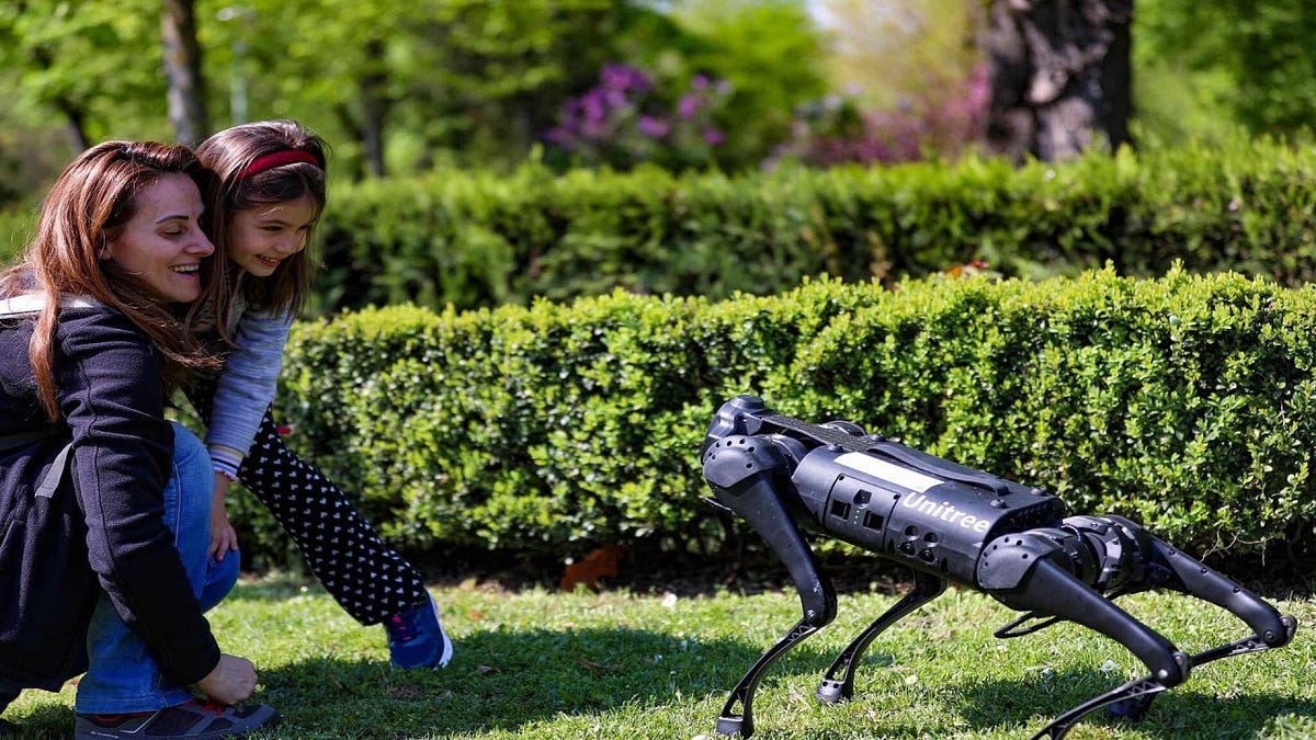 AI-animals: Why Your Dog Might Hold the Key to Understanding AI ...