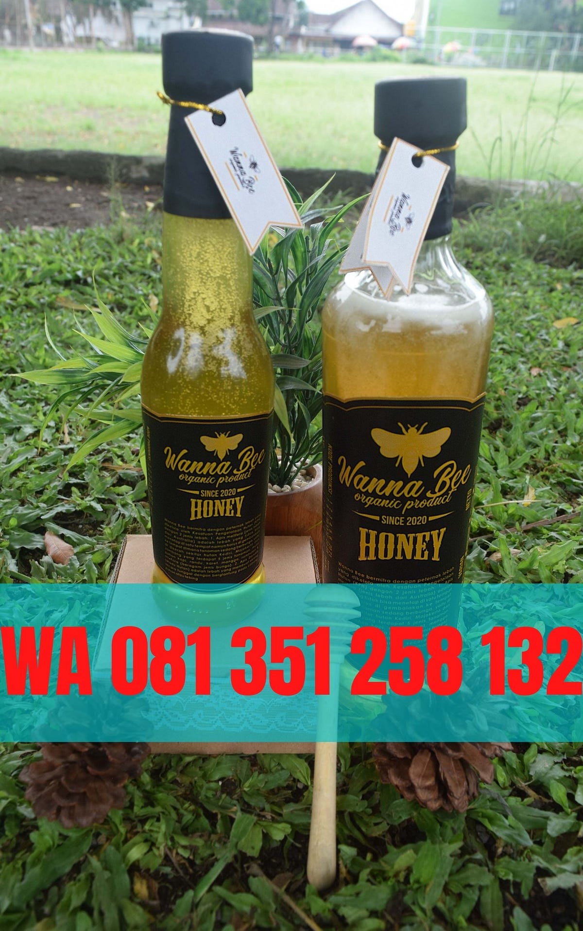MURNI | WA 081 351 258 132 | WANNA BEE - WannaBee - Medium