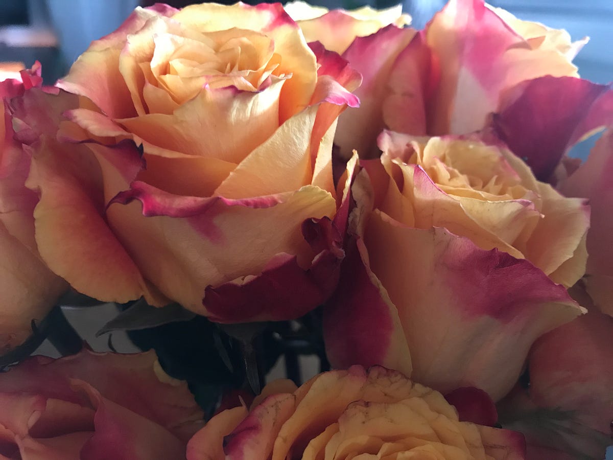 Sterling Roses and Red Flags. Many years ago, when my son was born ...
