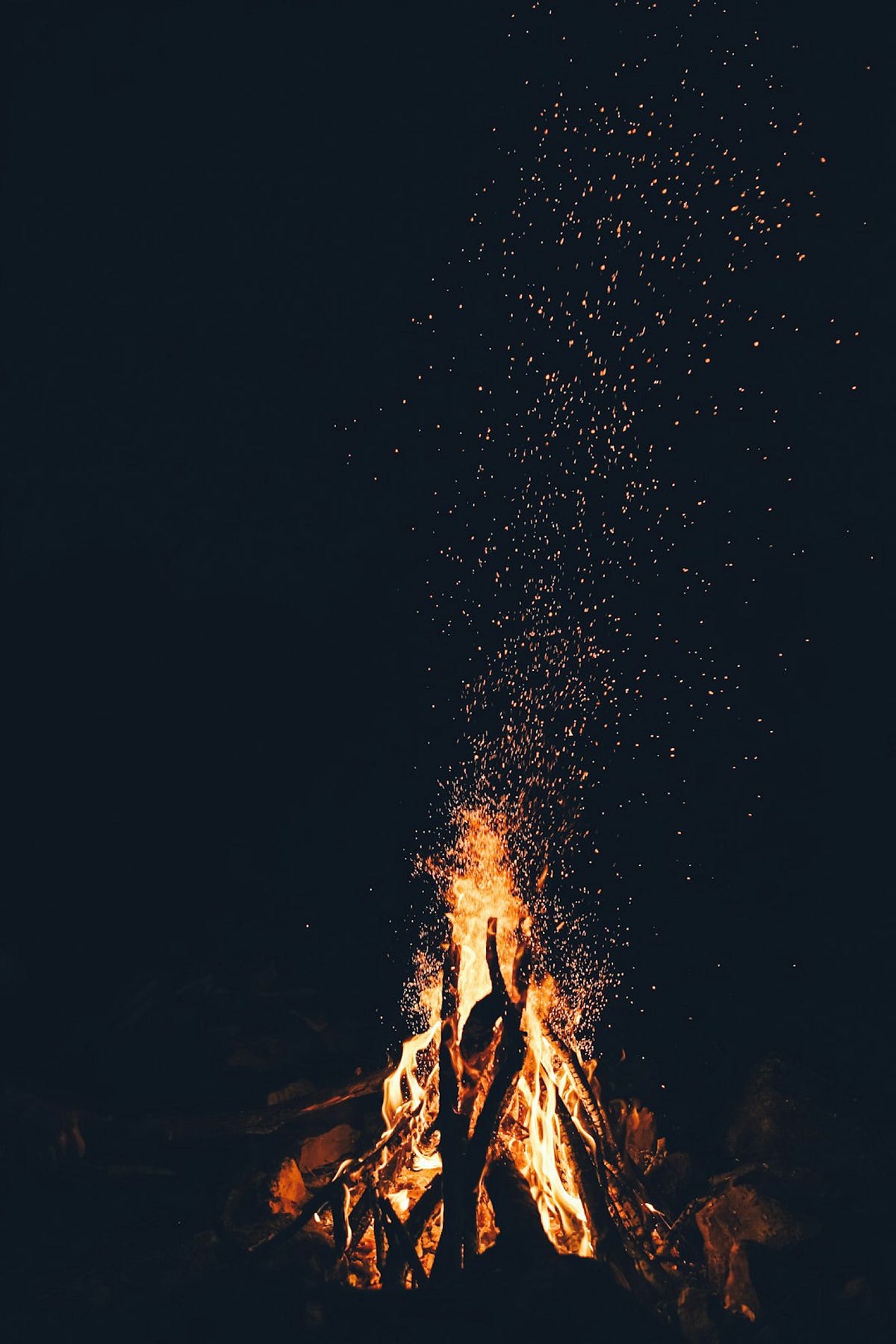 Camp Daze:. Lessons from the Trees | by Lorri Willett Thatcher | Feb ...