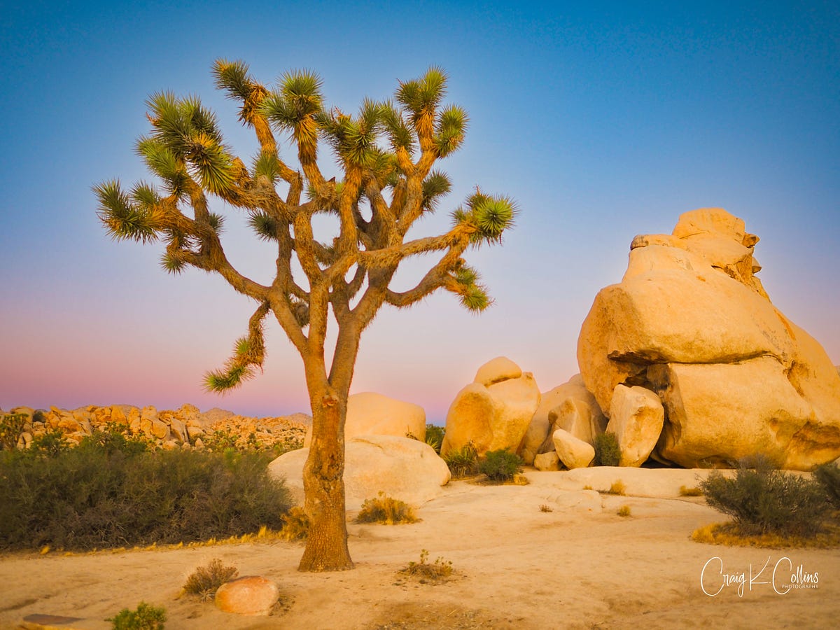 52 Week Photography Project. July Edition | by Craig K. Collins ...