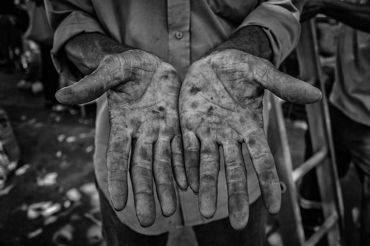 Documental: Vida Camponesa. A vida de quem vive da terra e luta… | by ...