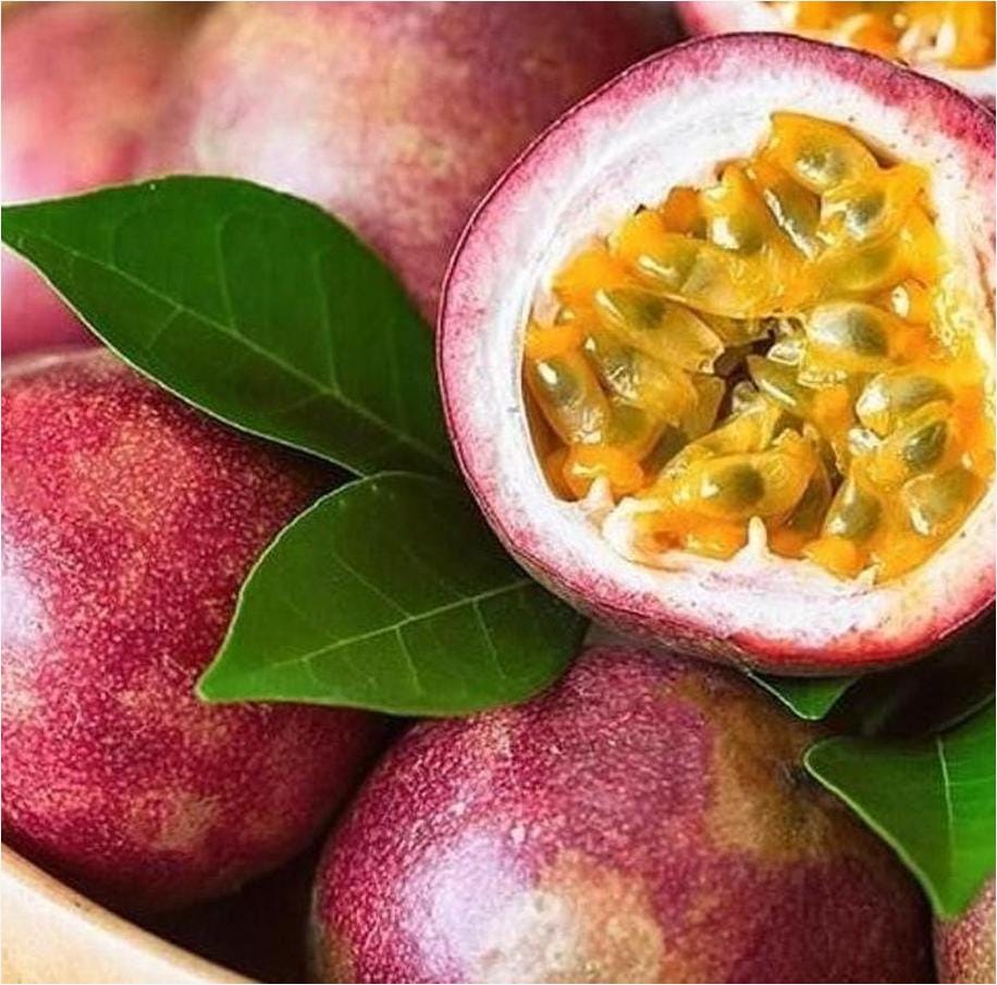 Bibit Markisa Ungu Cepat Berbuah Dan Mudah Perawatan Tanaman Buah — 1Kg ...