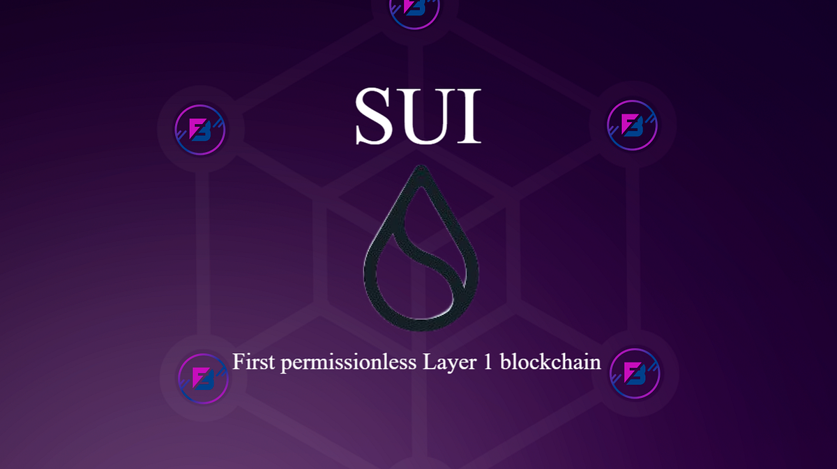 Activity - SUI. SUI — is the first permissionless Layer… | by Alberteos | Medium