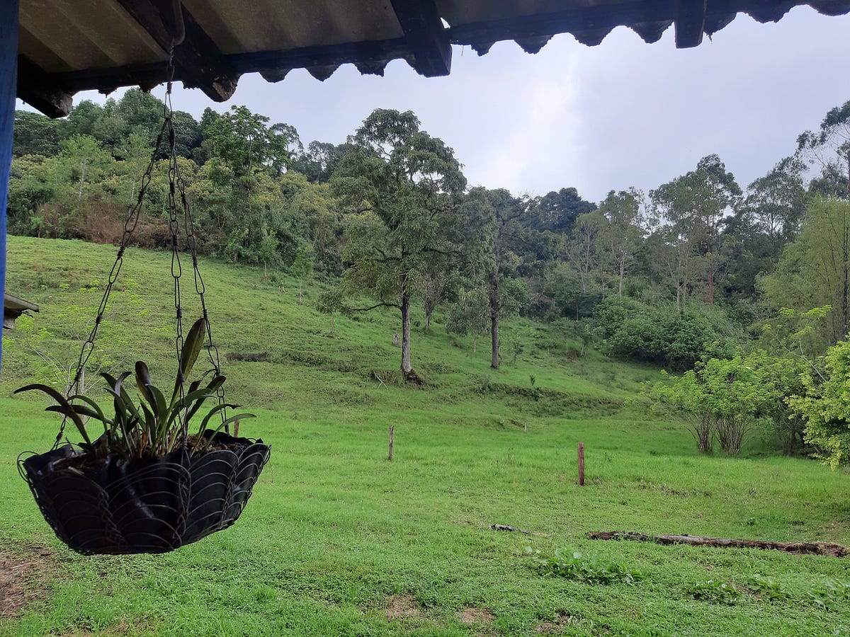 Por fin ha regresado la lluvia (Poema #3) | by Jerson Andrés Cuéllar ...