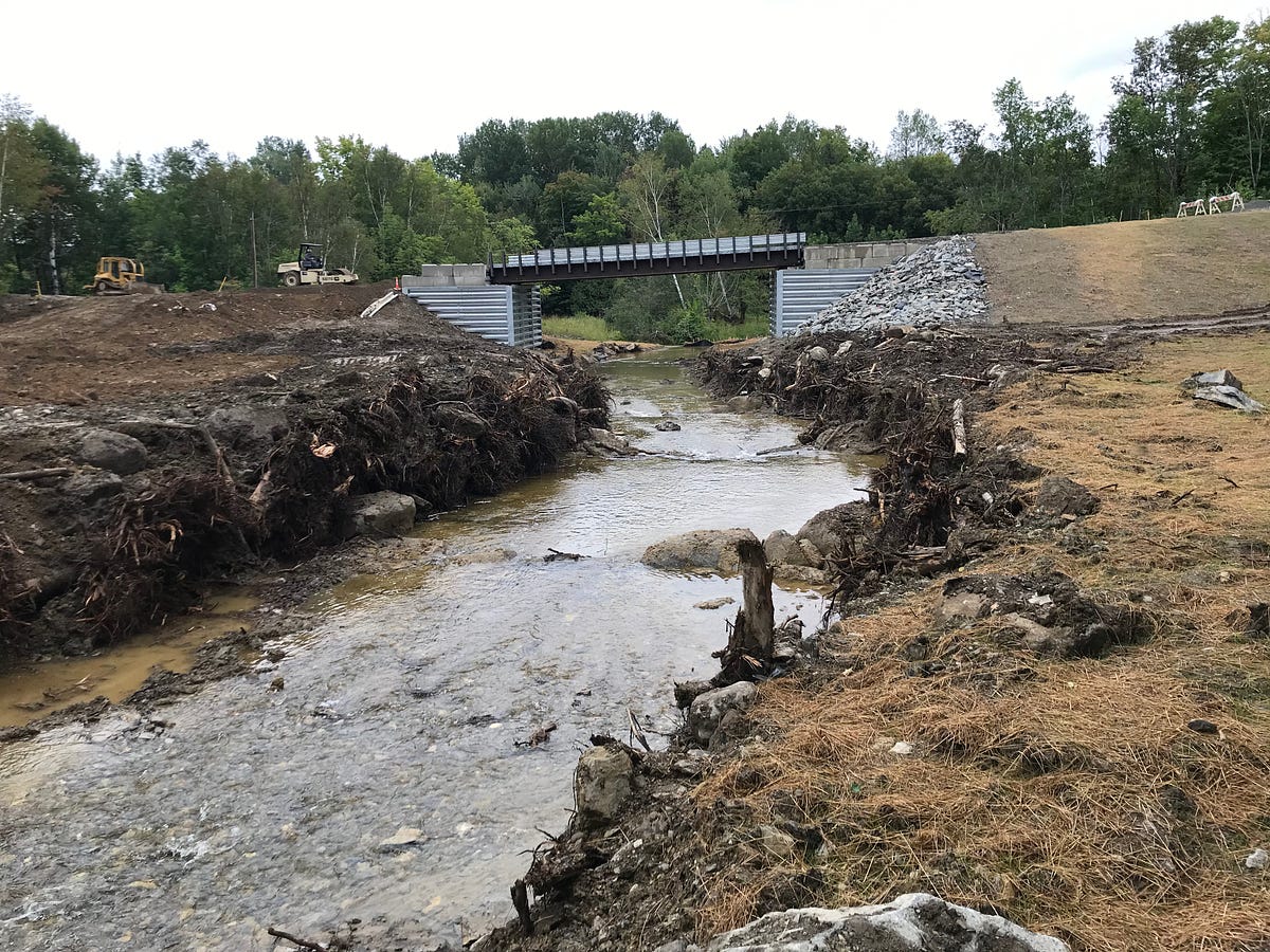 Water (and fish) under the bridge | by Mason Wheatley | Conserving the ...