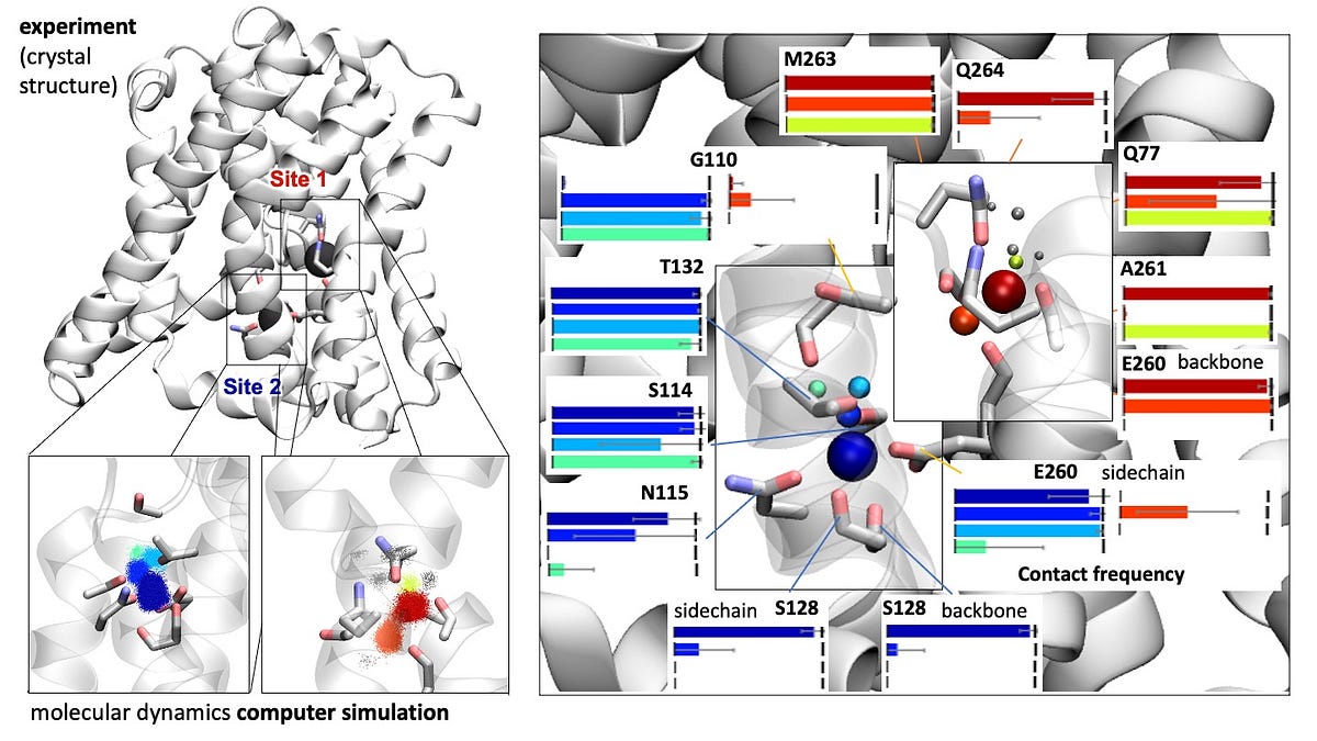 Spotlight: MDAnalysis–Python Library to Analyze Molecular Dynamics Simulations | by Tim ...