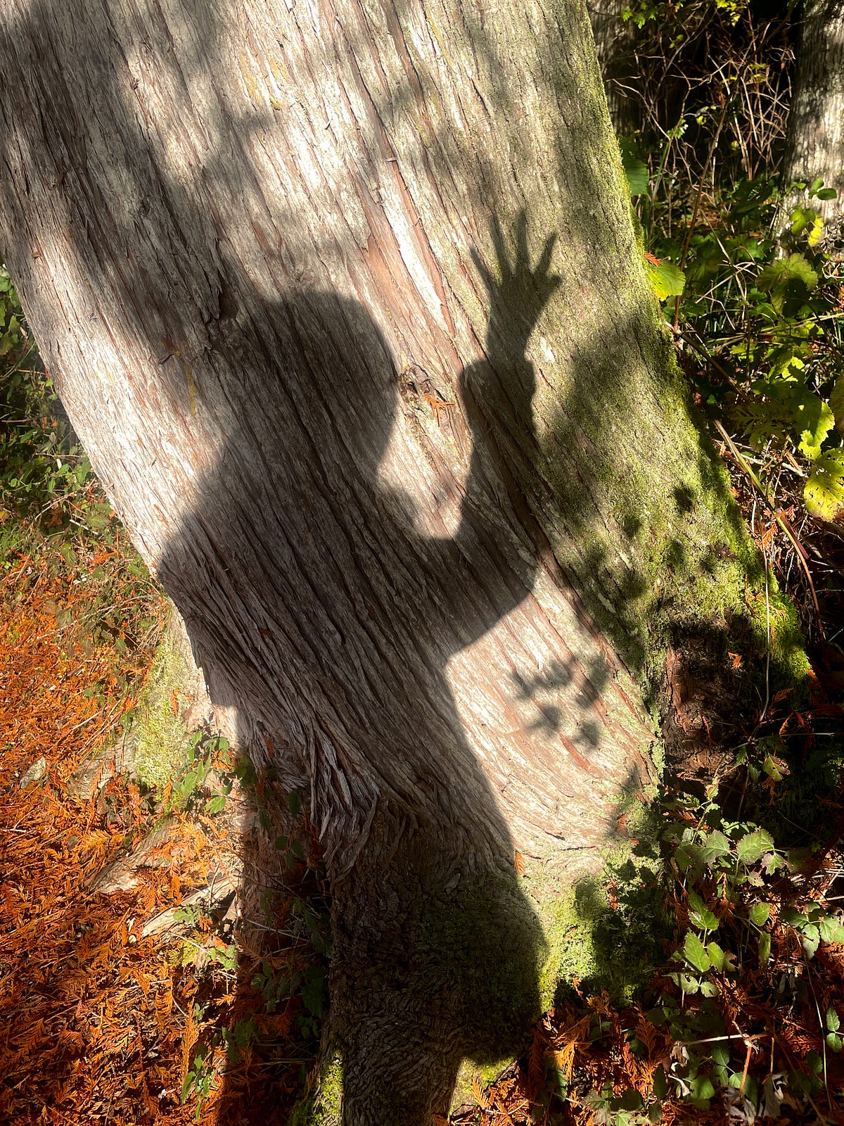 Finding a Foothold — A Realization Inspired by Letting Go | by ...