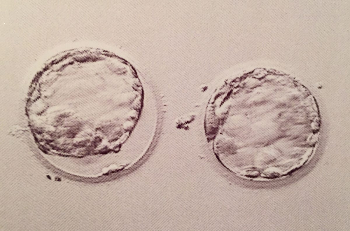 My Wife’s Perspective On Our Infertility | by Jon Hainstock | Medium