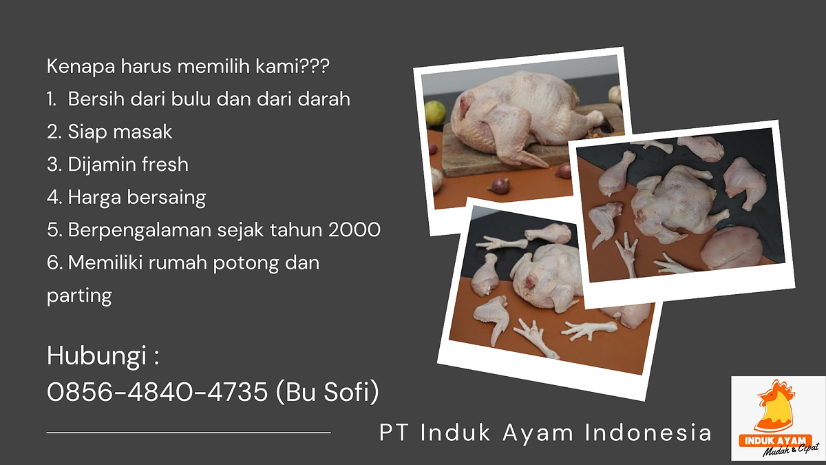 Fresh! 0856–4840–4735 Perusahaan Daging Ayam Beku Frozen Untuk Restoran ...