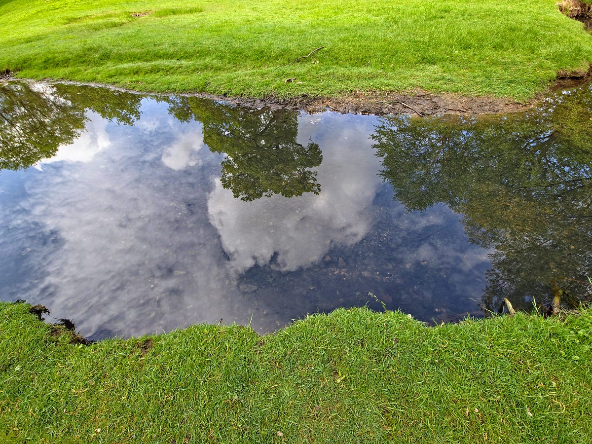 Simple Beauty Photography Challenge | by Lauri Novak | Full Frame | May, 2025 | Medium