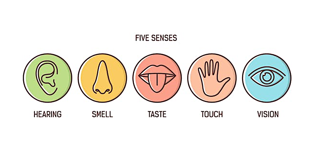 Explaining WCAG principles: Perceivable | by Luis Talamantes | UX ...