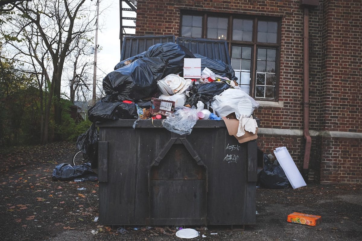 Dumpster Diving Lessons: Finding Wisdom in Life’s Messiest Moments | by ...
