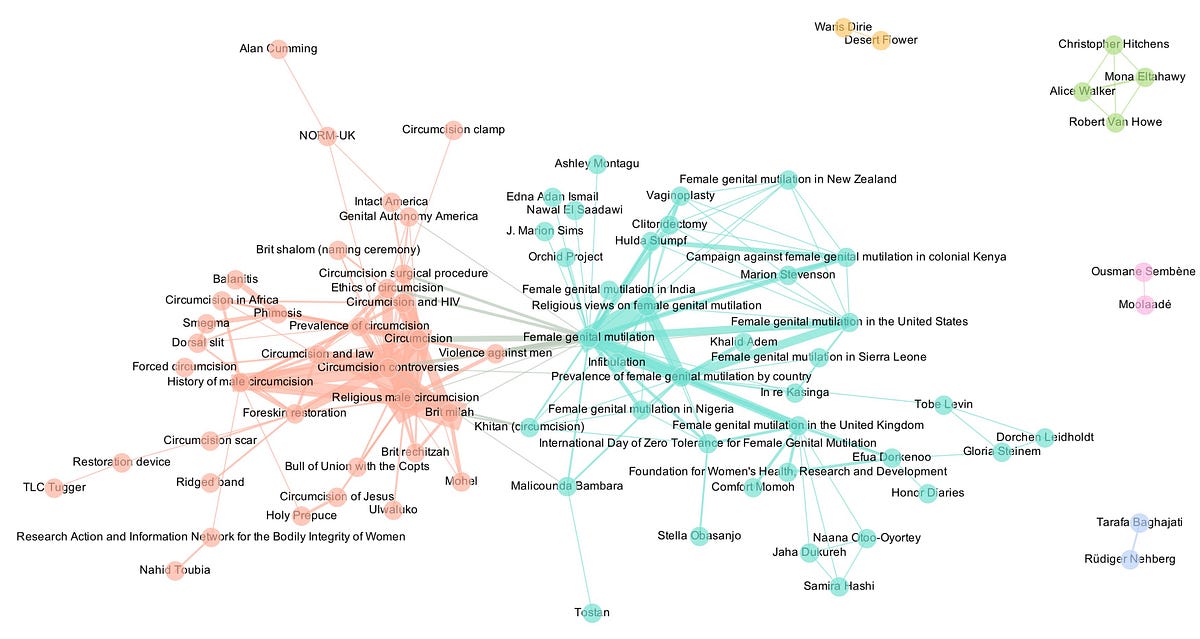 Visual network analysis with Gephi | by Ethnographic Machines | Medium