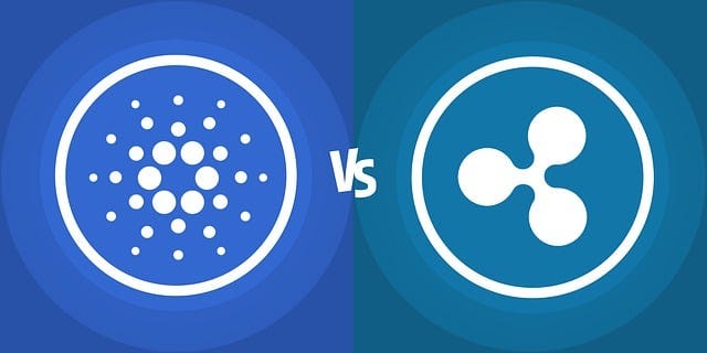 Free Mumu the Bull Airdrop: How to Get Your Tokens on These 5 Platforms ...