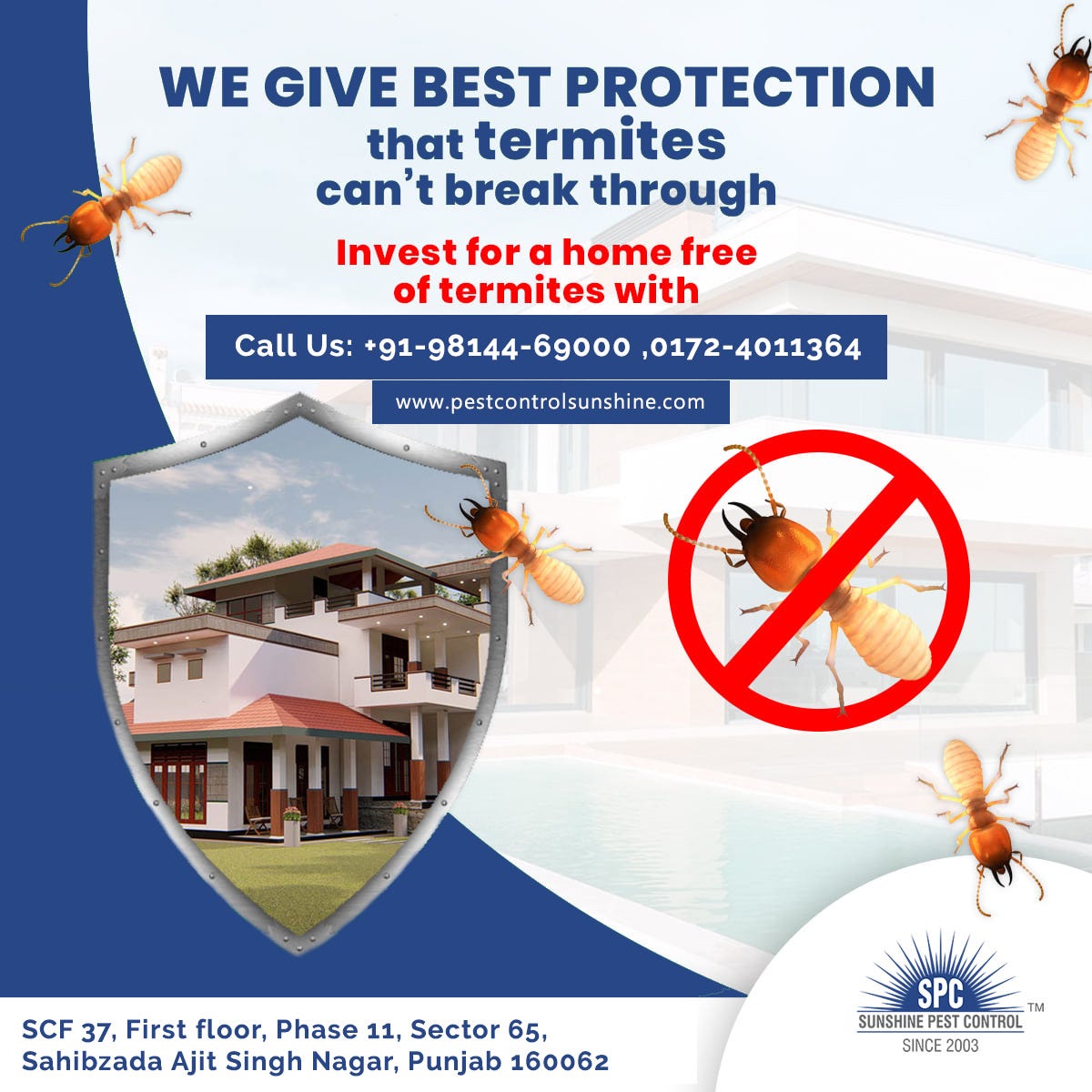 Best Protection From Termites - Sunshine Pest Control(Mr. Arshi Singh ...