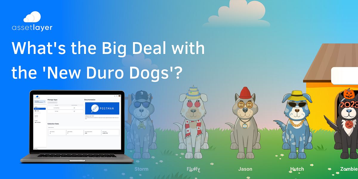 What’s the Big Deal With the New Duro Dogs? | by Jackson Laskey | Asset ...