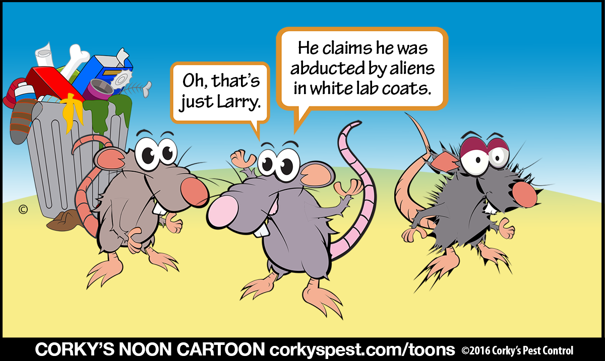 Corky’s Noon Cartoon!. Make sure to visit our page everyday at… | by ...