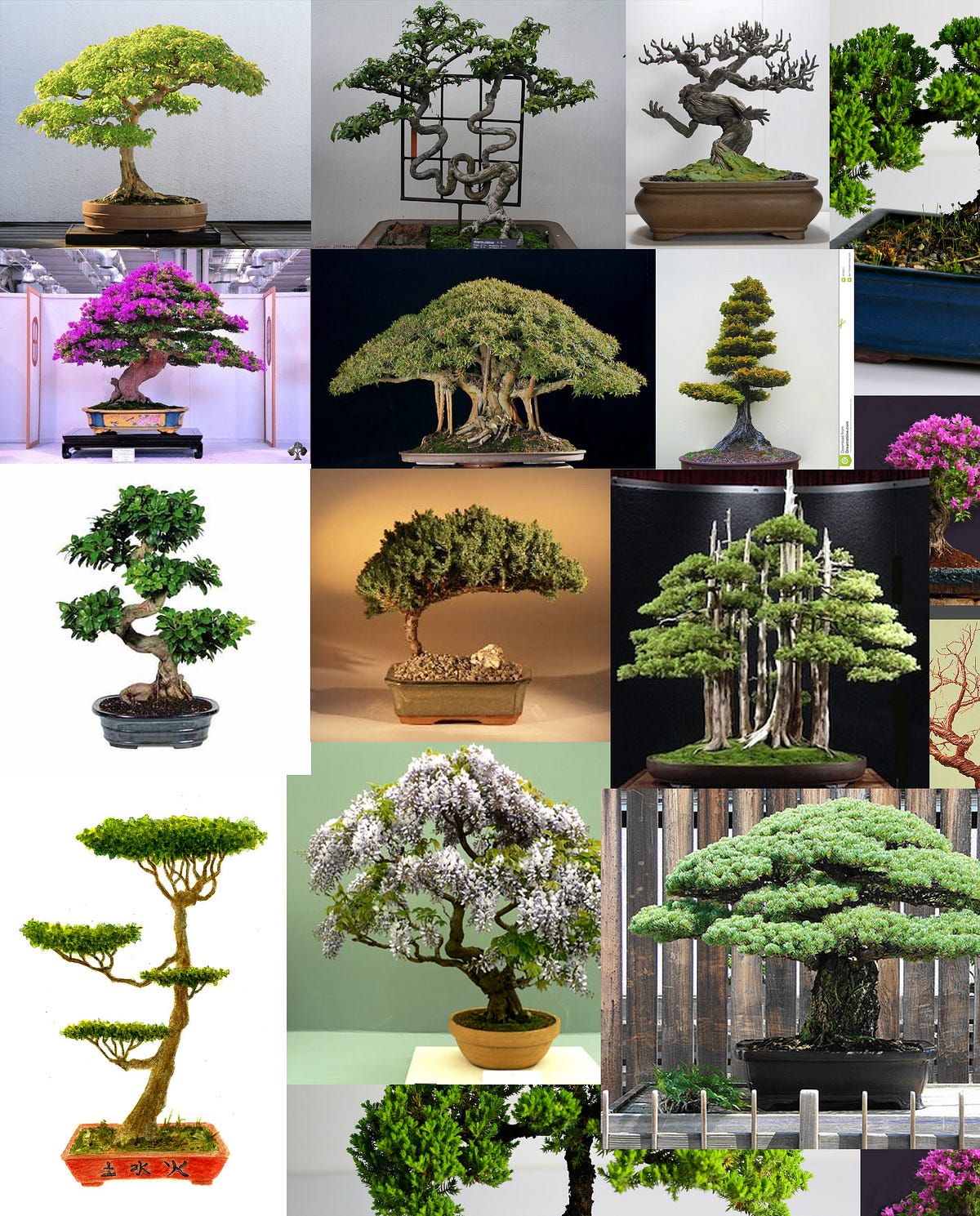 Week 10- Stylized Tree. Using the style guide provided on the… | by ...