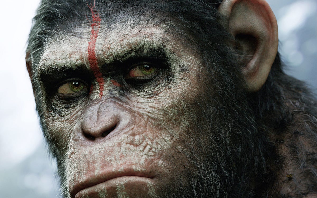 Monkey (Harambe?) 2.0. Objective no 2: Better Judgement | by darkzbaron ...