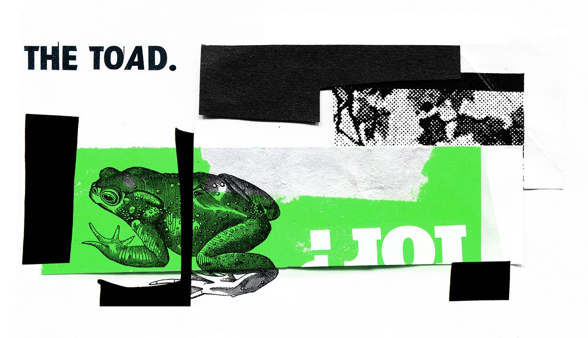 002: The toad.. There was something behind the shed. In… | by tom ...