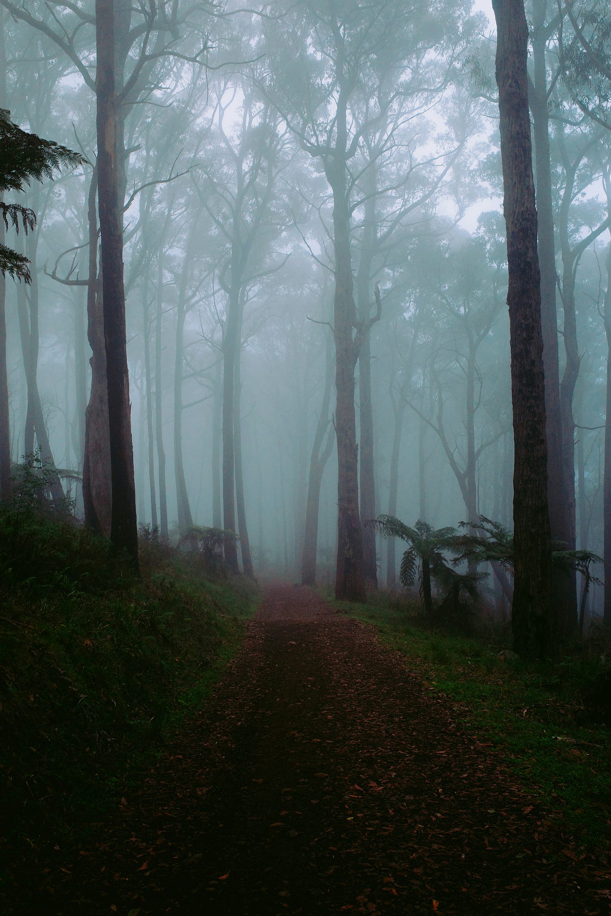 The Impossible Choice: Between Two Loves, I Chose to Hide | Resilient ...