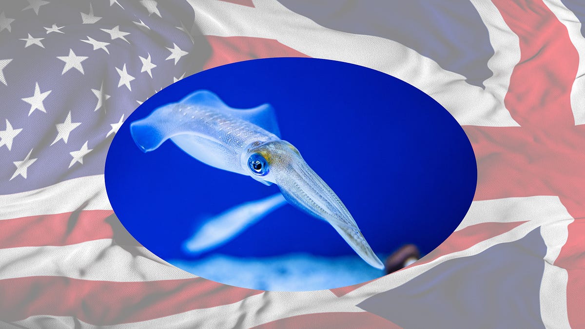 The US-UK partnership on AI safety is a damp squib | by Ben J Clarke ...