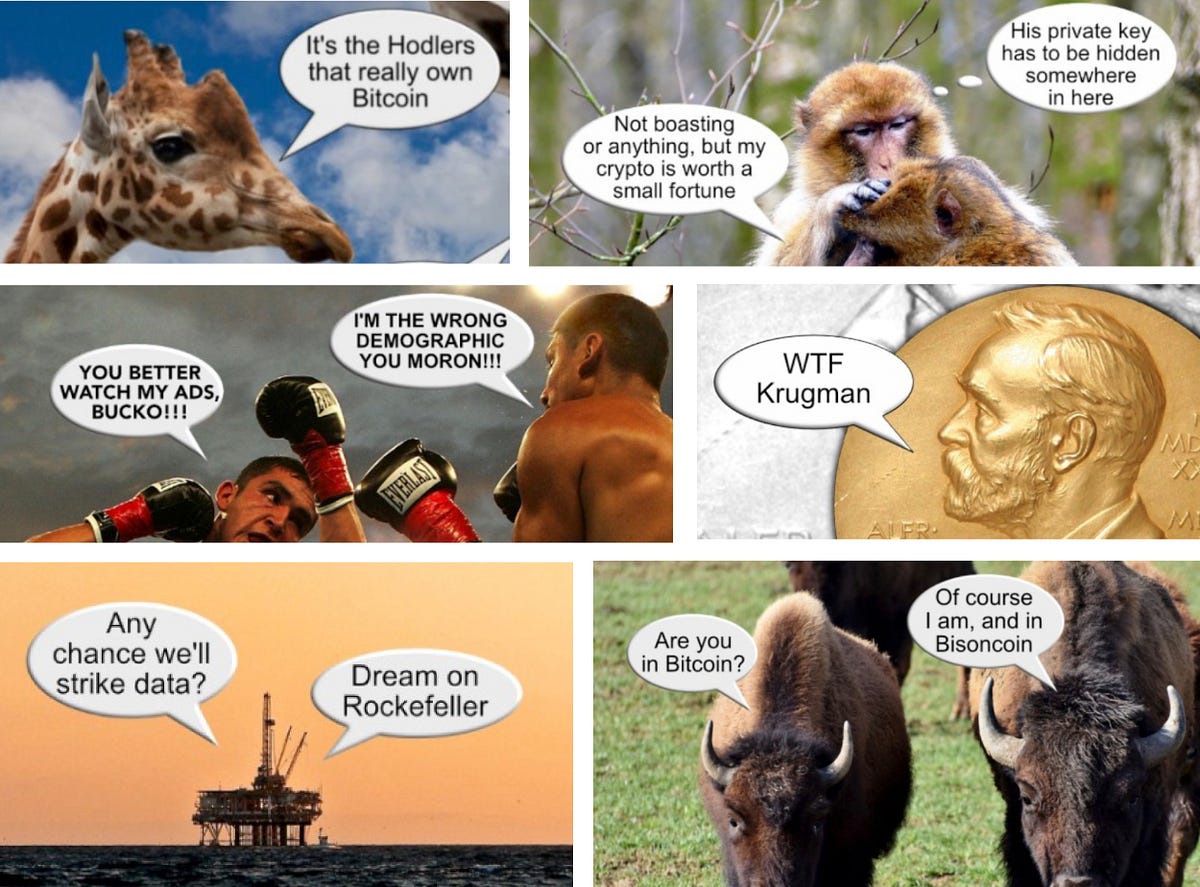The Blog Cartoons (Episode 1). A few readers mentioned to me that… | by ...