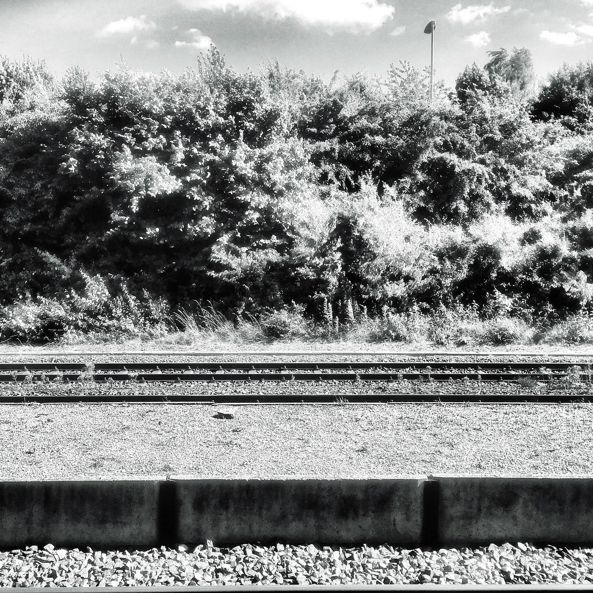 Beauty of Fugaciousness. Pictures were taken on July 14 in Lemgo… | by Christian Kramp | Medium