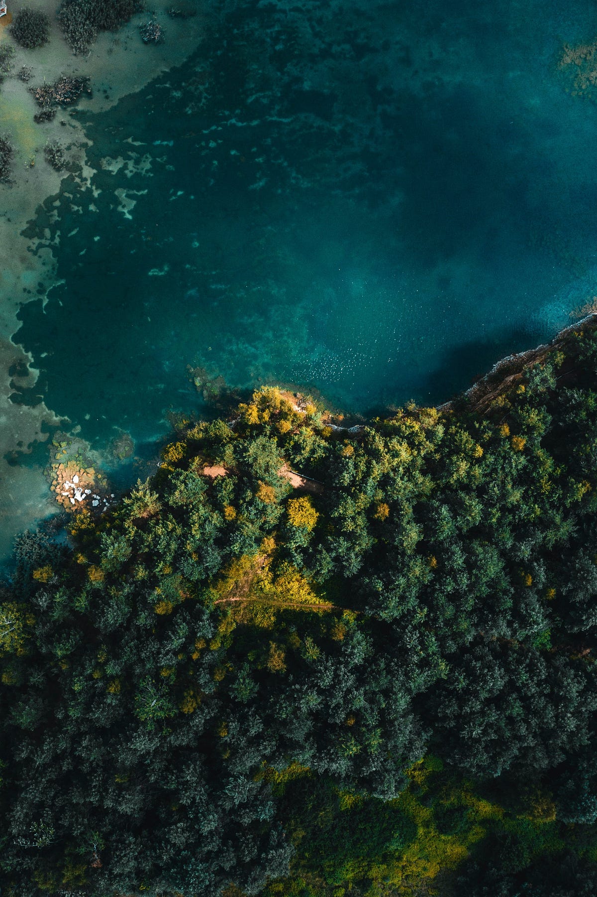 Build A Quiz App In Python In 5 Simple Steps By Vishnu Jul 2025 Python In Plain English