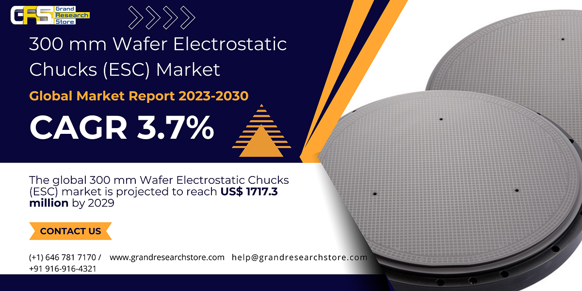 300 mm Wafer Electrostatic Chucks (ESC) Market, Global Outlook and ...