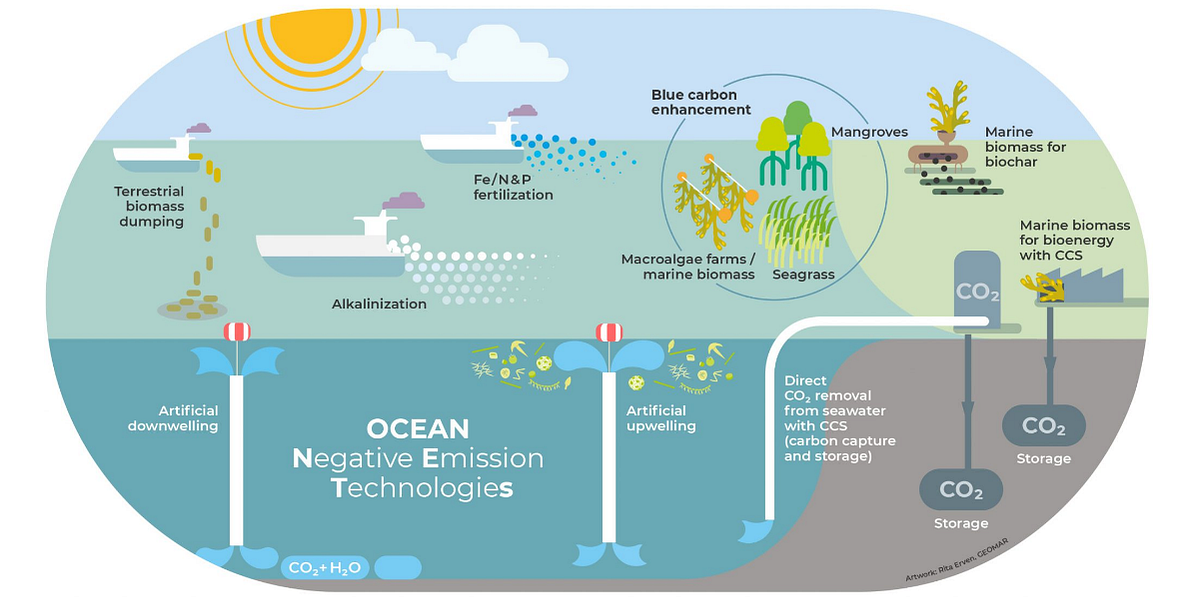 The Urgency of Meaningful Carbon Removal: Avoiding the False Promises ...