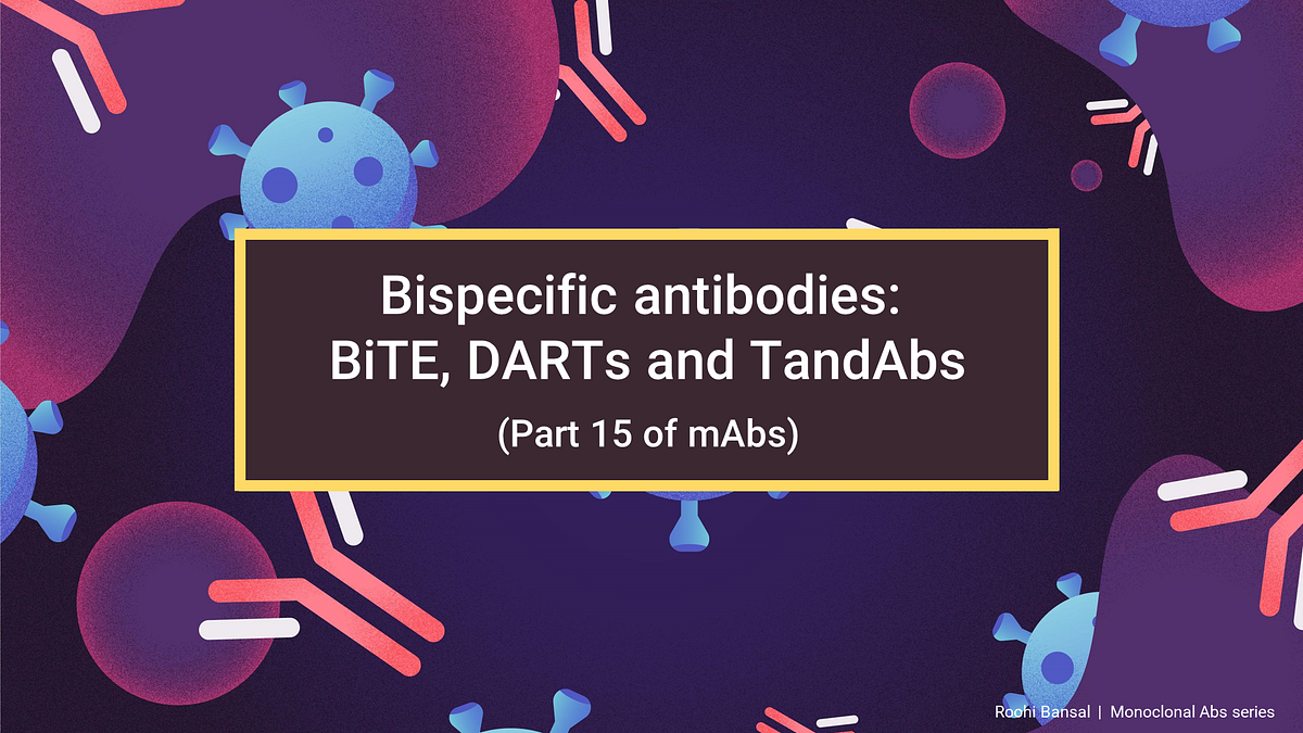 Bispecific antibodies: BiTE, DARTs, and TandAbs (Part 15- mAbs) | by ...