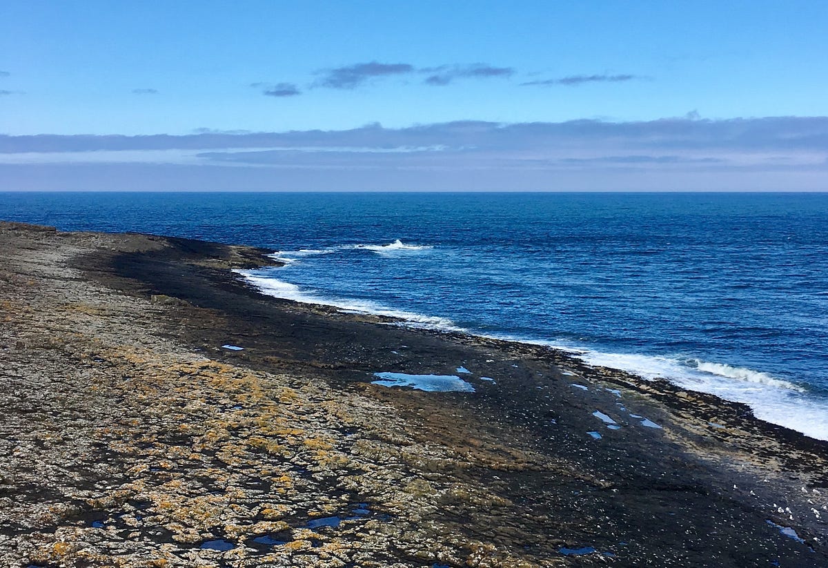 Poem: BETWEEN THE TIDES - Ann van Wijgerden - Medium