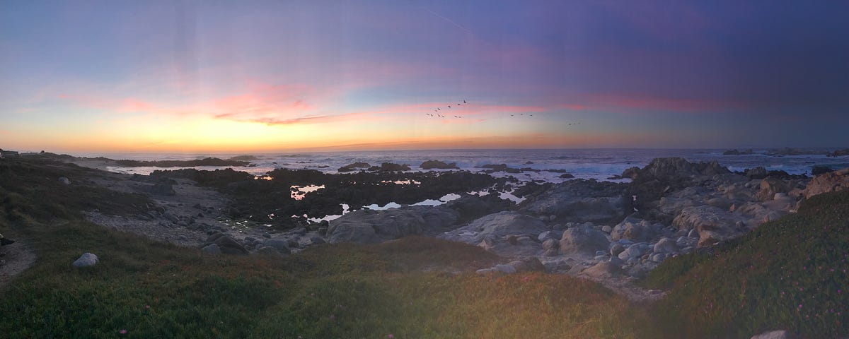 New Resolution: Calm in Calamity. New Year’s Morning. A tangible quiet ...