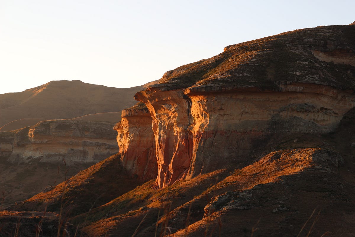 Using docopt with C | by Willemt | Medium