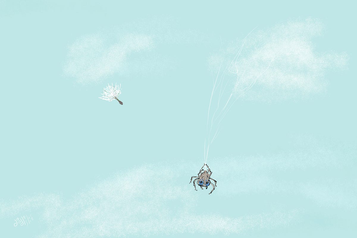 Borne on a Windy Day. A poem set adrift with a little lift | by ...