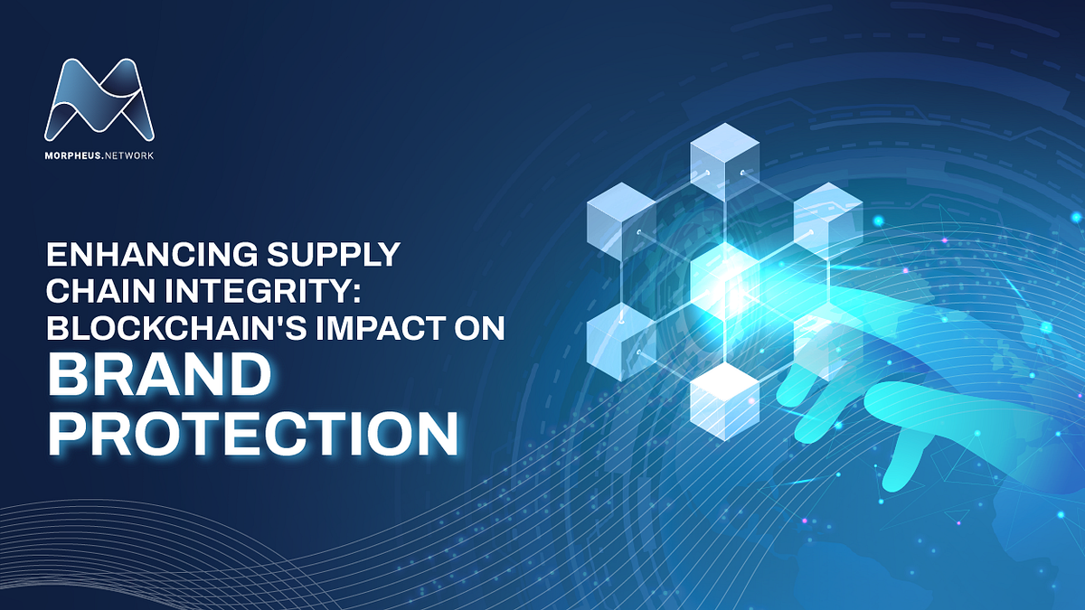 Enhancing Supply Chain Integrity: Blockchain’s Impact on Brand Protection | by Lathan James ...