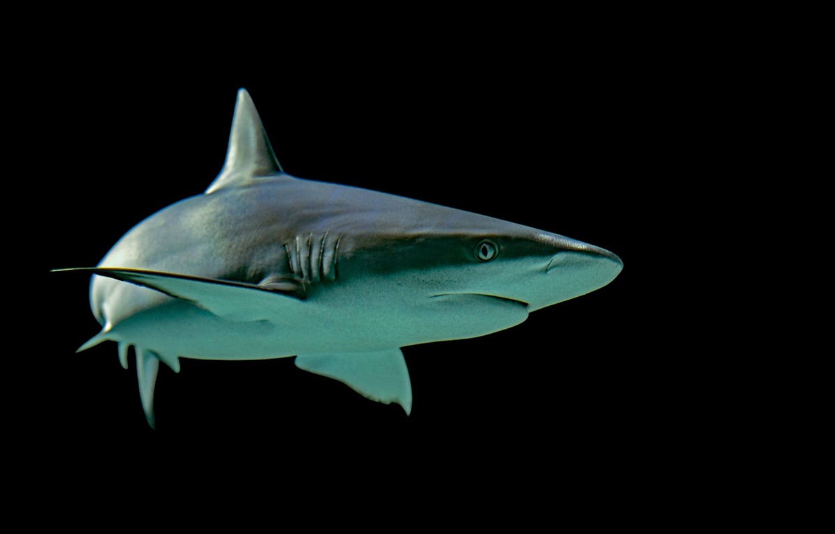 A Practical Guide to Reducing Fear | Change Your Mind Change Your Life