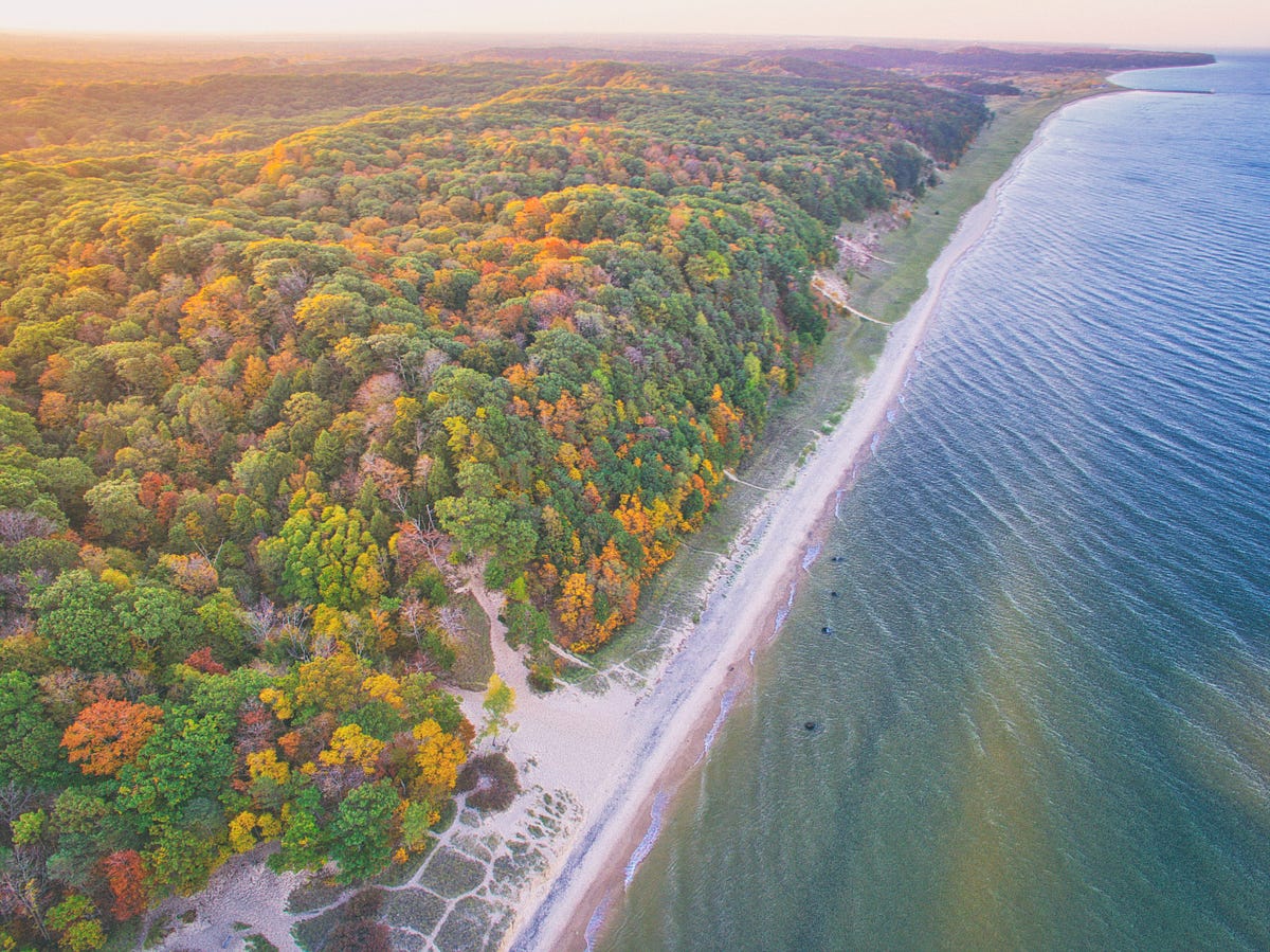 Let’s clean up #OurWater (and more): a step-by-step guide to protecting ...