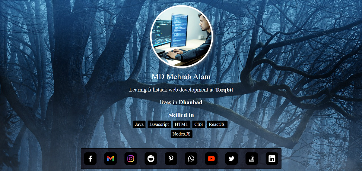 How to make personal website using background image | by Mehrabalam ...