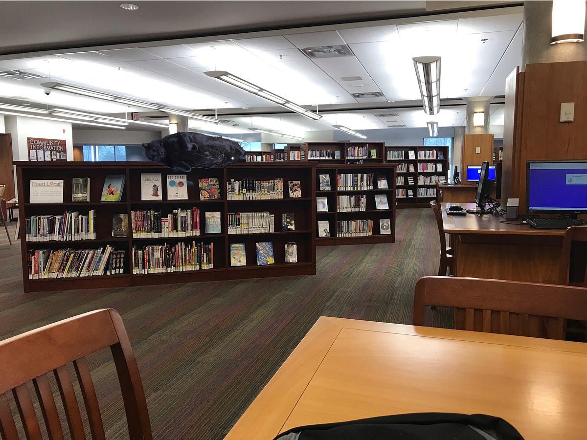 Tibbster’s Redemption: Escape From Al-Cat-Raz | by The Joy Of Cats Blog ...