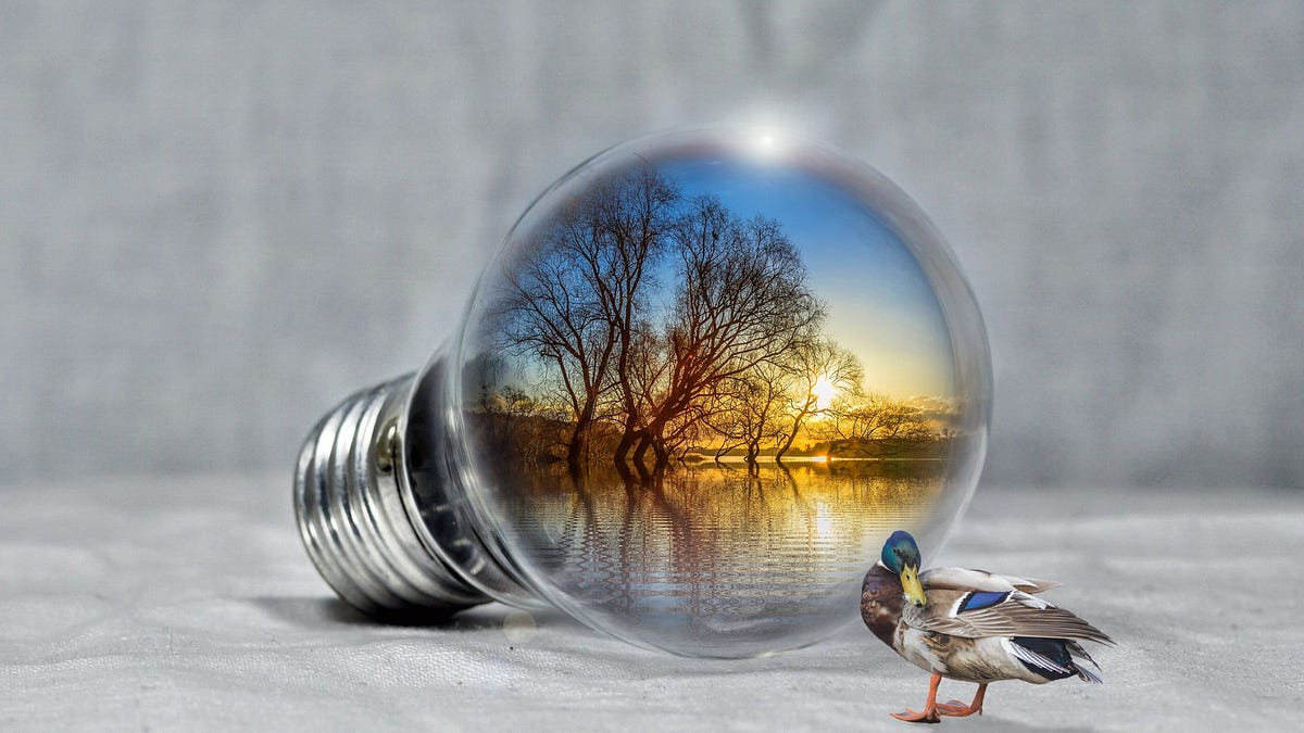 Sven Van Zanten | Know About The Different Types of Renewable Energy ...