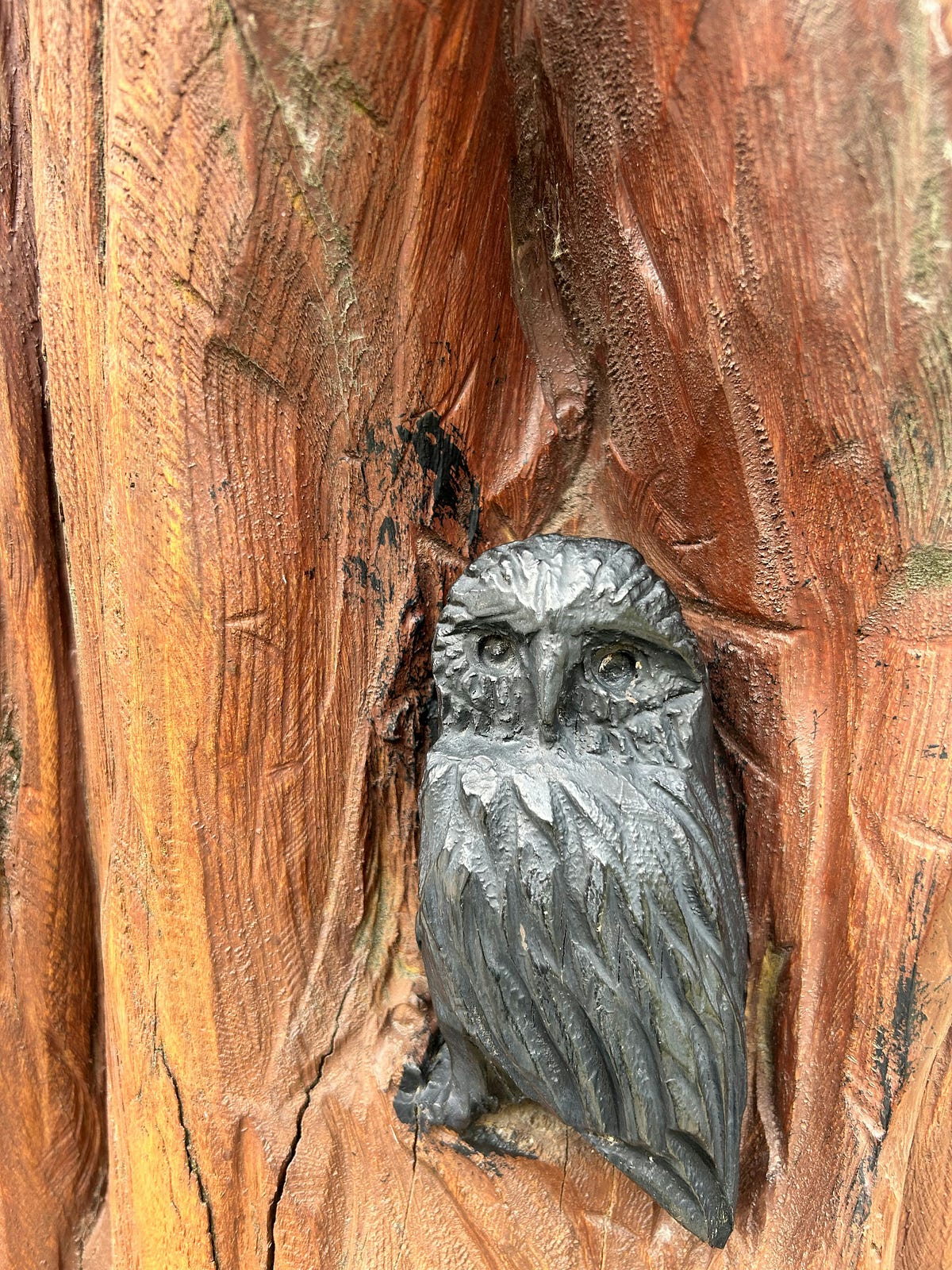 1441: Under Heaven - Scott Douglas Jacobsen - Medium